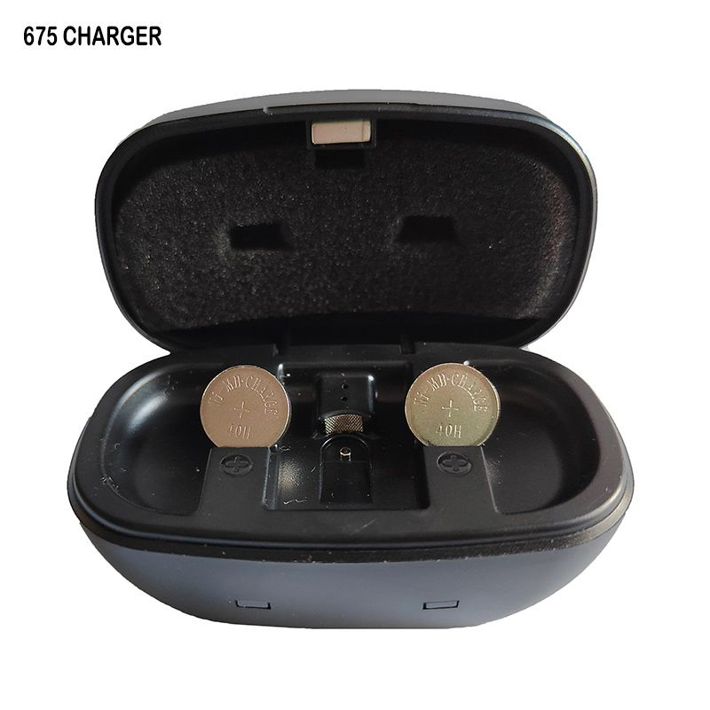 НОВИНКА 2022 ГОДА! Аккумуляторные батареи для слуховых аппаратов A13 и ...