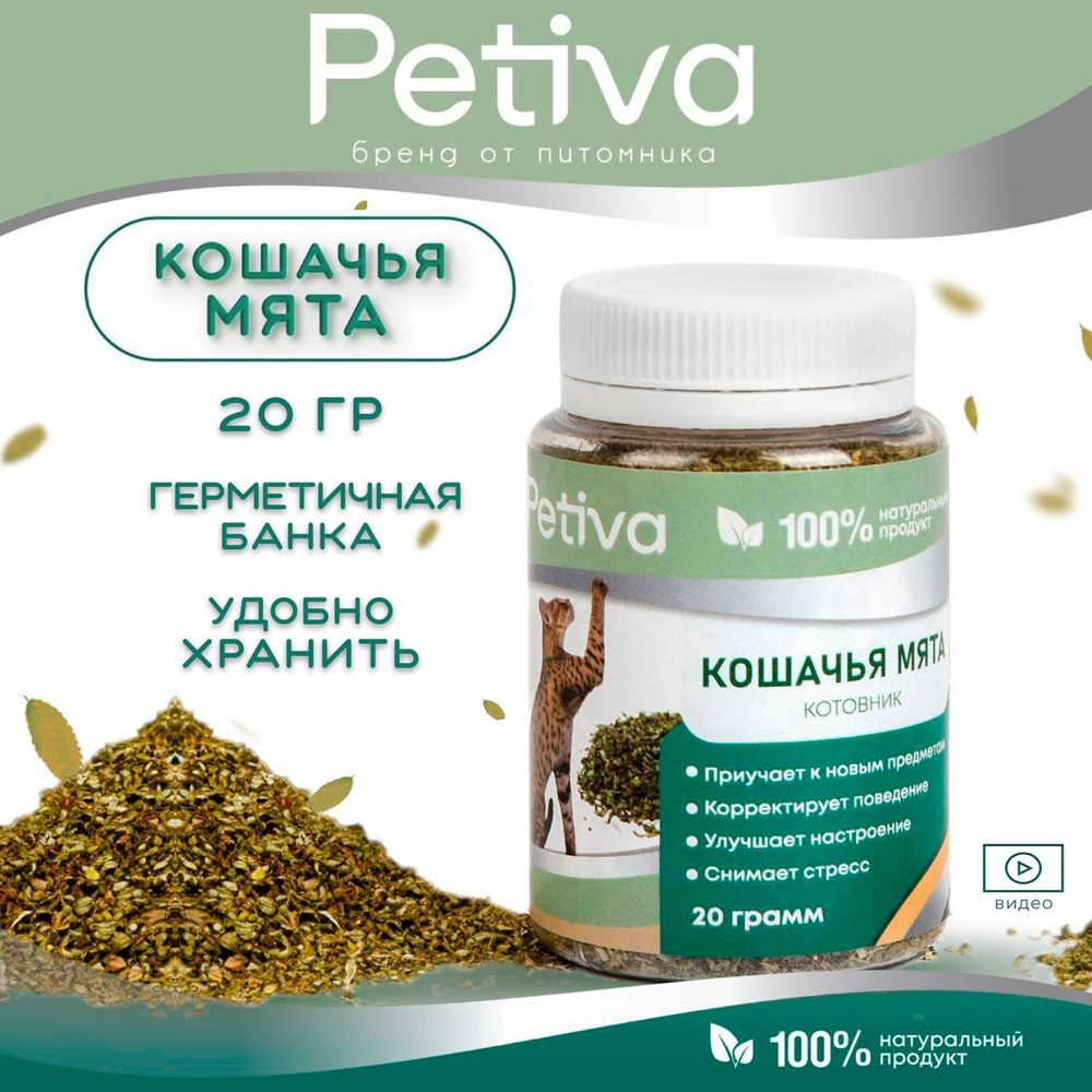 Кошачья мята для кошек и котов 20 грамм сушеная сухая PETIVA котовник ...