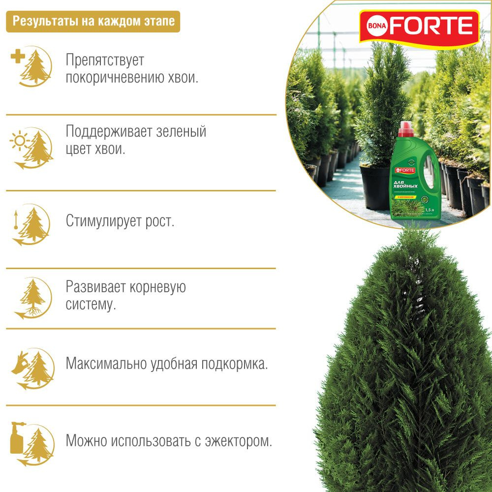 Удобрение для ХВОЙНЫХ растений Bona Forte Бона Форте, концентрат, 1,5 л ...