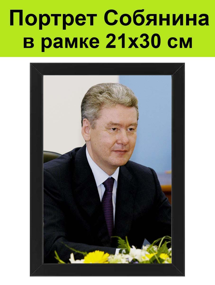 Портрет Собянина в рамке 21х30 см / картина, постер, плакат мэра Москвы ...
