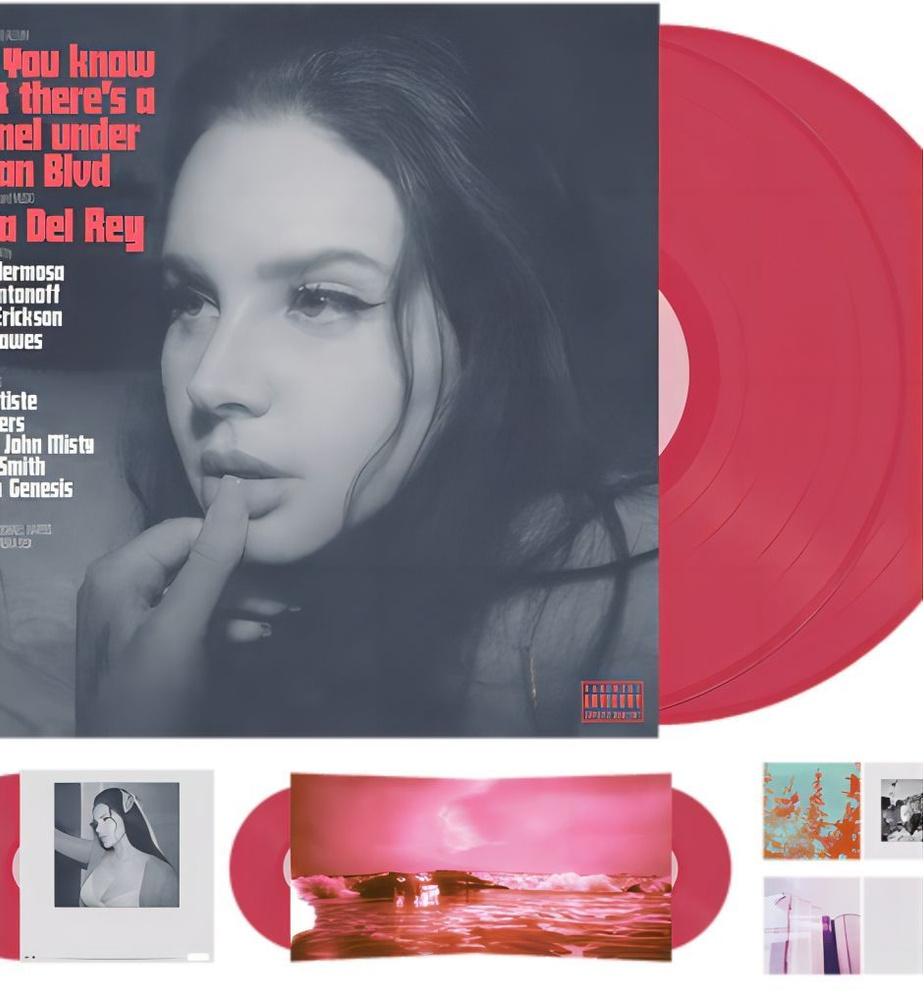 Виниловая пластинка Виниловая пластинка Lana Del Rey - Did you know ...
