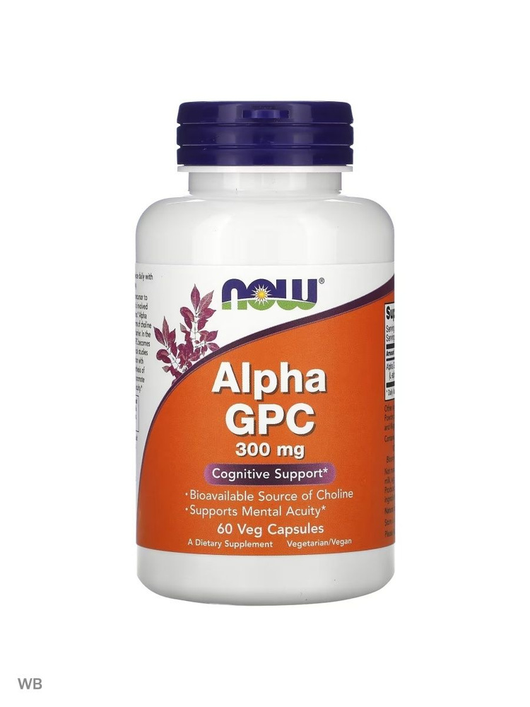 NOW Alpha GPC для улучшения памяти - купить с доставкой по выгодным ...