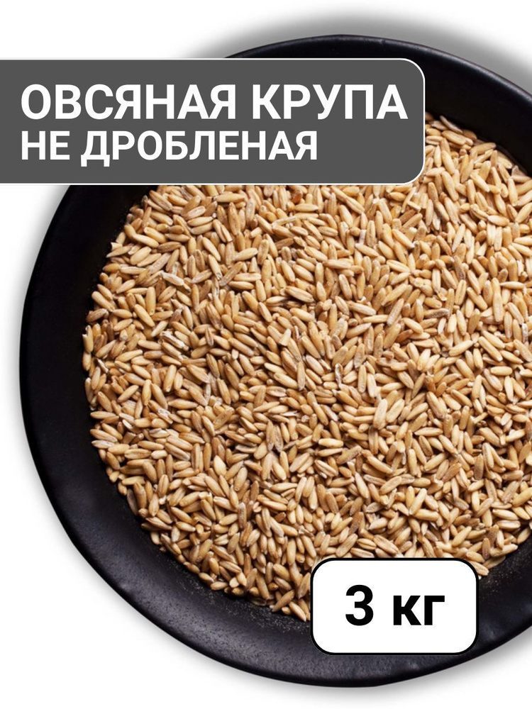 Овсяная крупа недробленая - купить с доставкой по выгодным ценам в ...