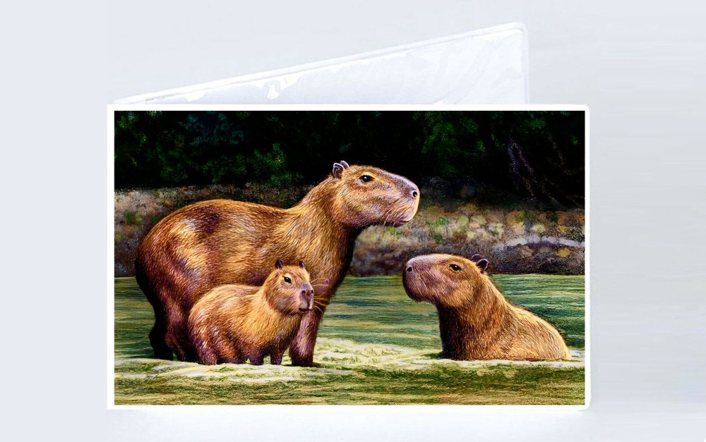 Обложка на зачетную книжку MIGOM Капибара, Capybara - 0008 - купить с доставкой по выгодным ...