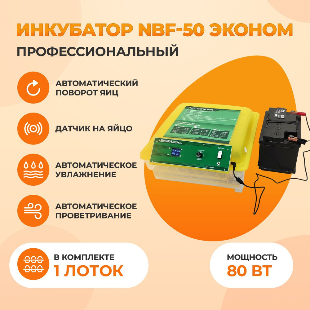 Инкубатор для яиц NBF Эконом, 50 яиц, 220В, автоповорот купить на OZON по низкой цене (840709692)