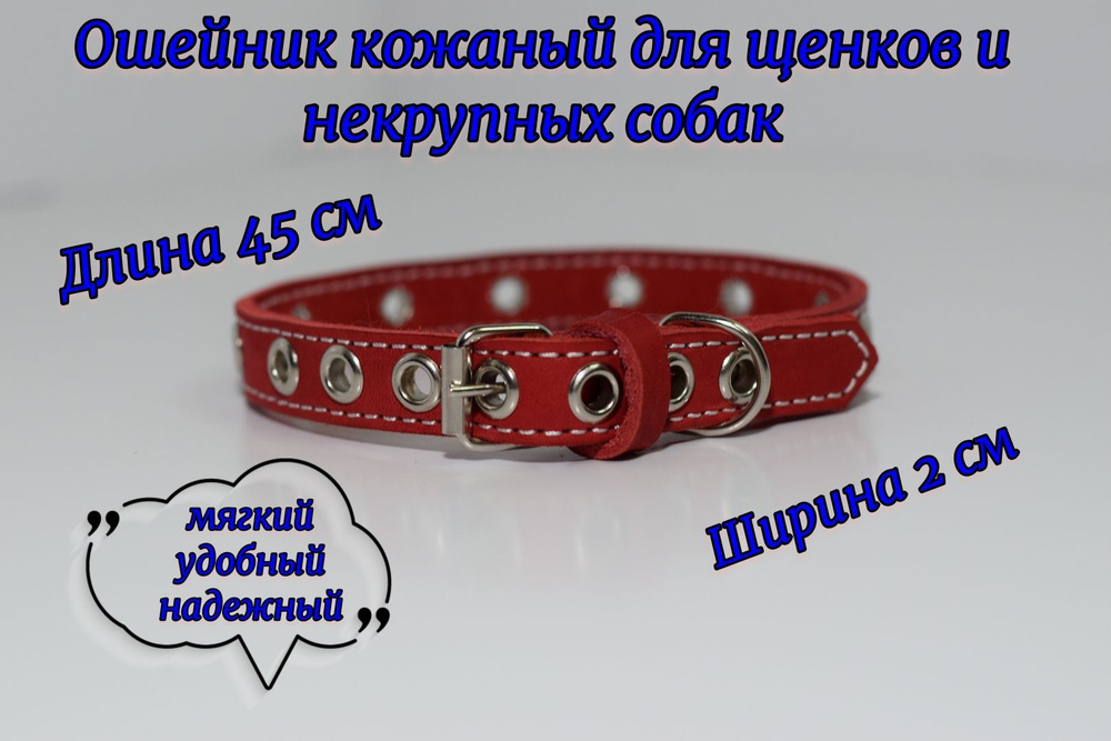 Ошейник для мелких пород собак и щенков купить с доставкой по