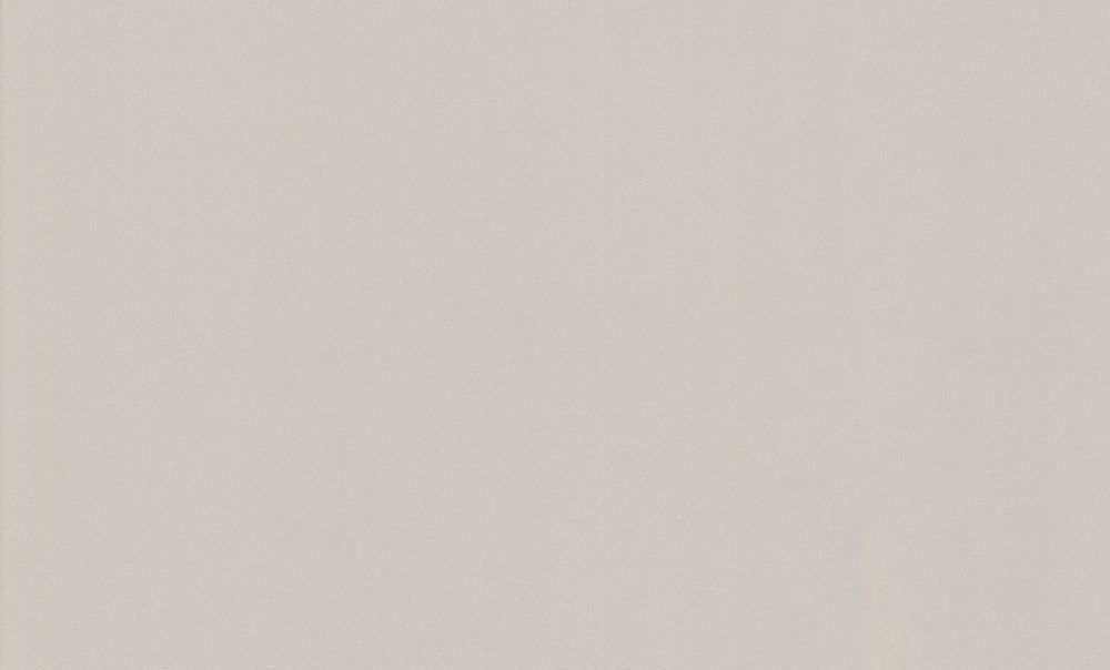 Виниловые обои ERISMANN Basic 60164-05 бежевые 1,06x10,05 м - купить по выгодной цене в интернет ...