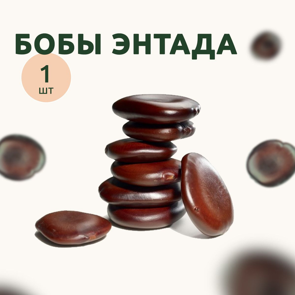Бобы Энтада 1 шт купить на OZON по низкой цене (1287068439)