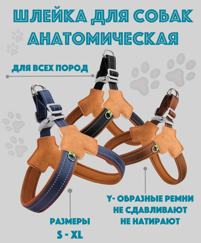 Шлейка-ошейник для выгула и дрессировки собак - купить с доставкой по ...