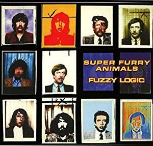 Audio CD SUPER FURRY ANIMALS: Fuzzy Logic - купить по низким ценам в ...