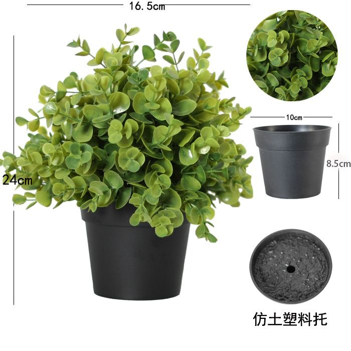 Купить Мини-зеленые растения, маленькие растения в горшках ...