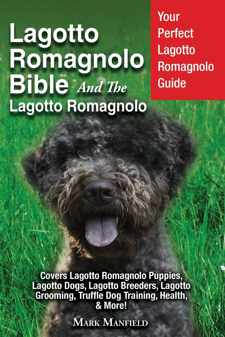 Характеристики Lagotto Romagnolo Bible And The Lagotto Romagnolo. Your ...