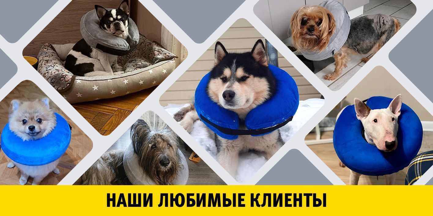 Защитный воротник для собак и кошек, ветеринарный мягкий надувной ...