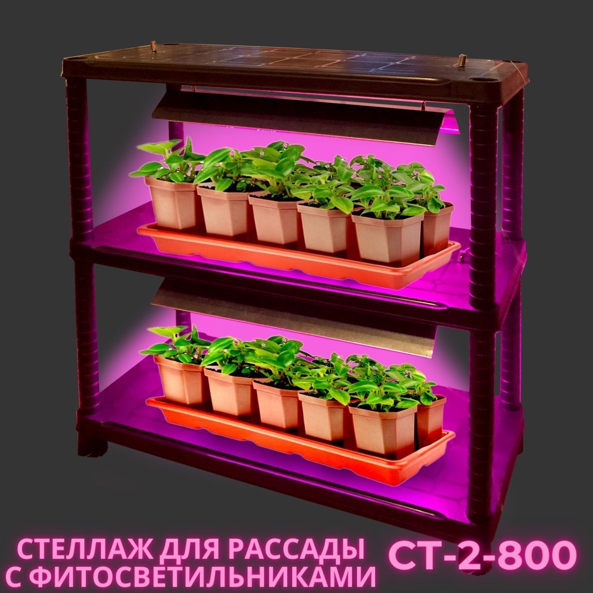 Стеллаж для рассады с фитосветильниками СТ-2-800 - купить с доставкой ...