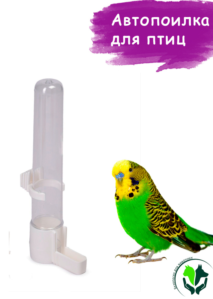 Автопоилка для птиц , попугаев - купить с доставкой по выгодным ценам в ...