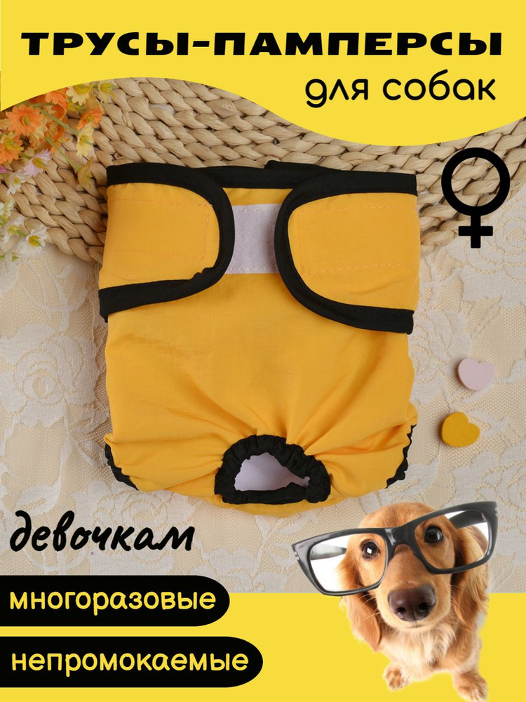 Трусы для собаки во время течки / Памперсы для собак многоразовые ...