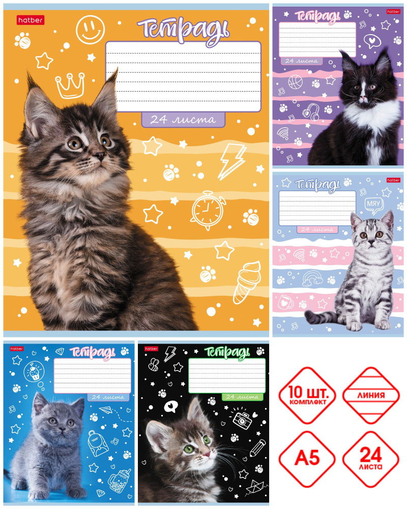 Набор тетрадей Hatber 24 листа, формата А5, в одну линию, 65 г/кв. м, на скобе, 10 штук/5 ...