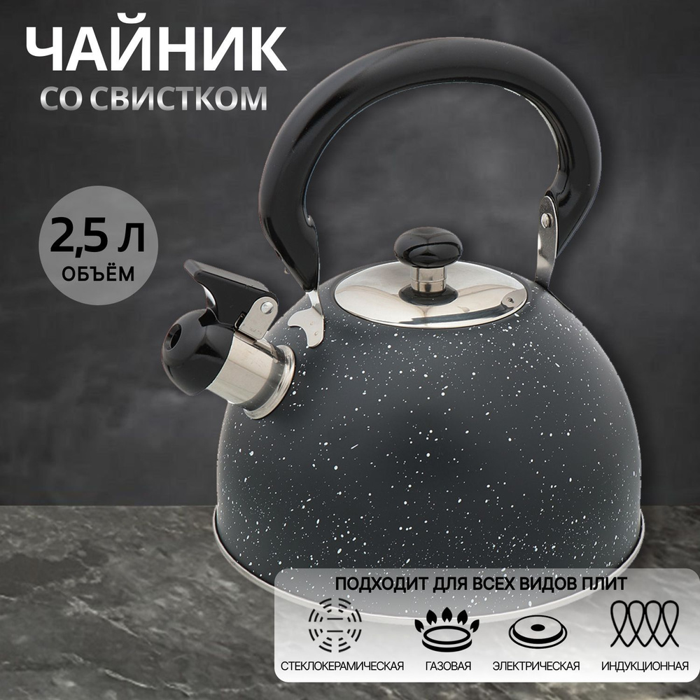 Чайник со свистком 2.5 л Daniks, для газовой, индукционной плиты ...