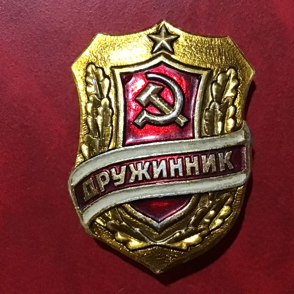 Значок СССР Дружинник Арт 56 - купить с доставкой по выгодным ценам в ...
