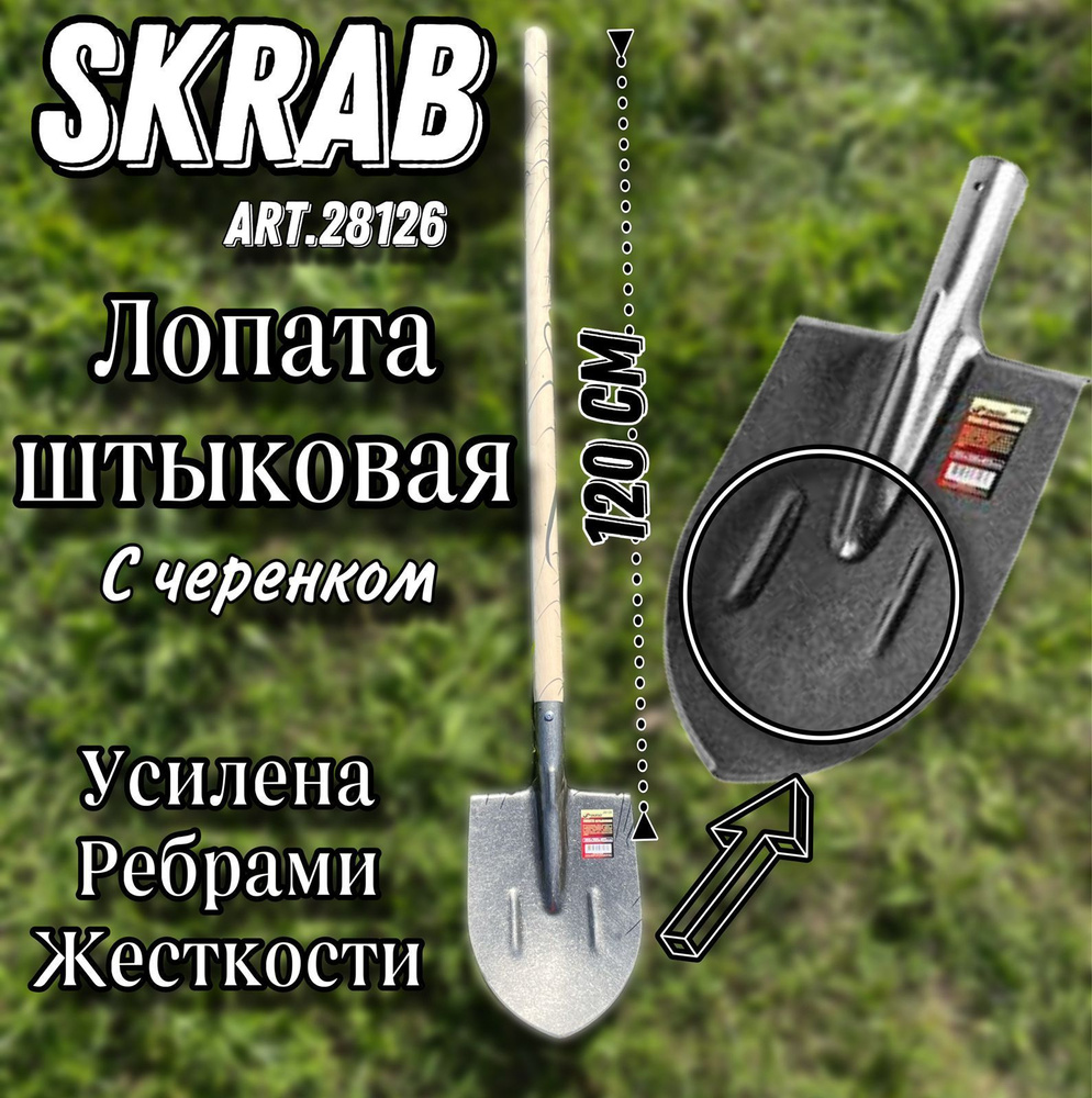 Лопата штыковая Skrab, Высокоуглеродистая сталь купить по выгодной цене ...