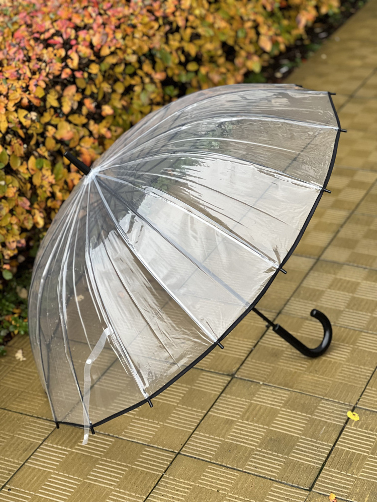 Зонт Popular Umbrella, Полуавтомат, Трость, прозрачный, черный купить ...