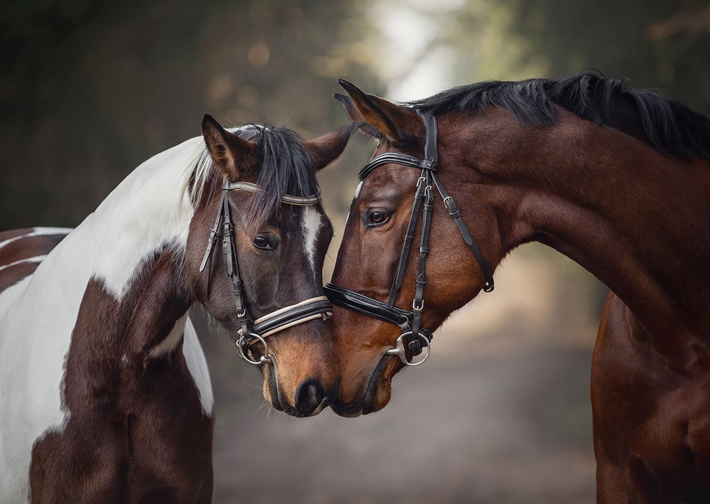 Пазлы ФРЕЯ 1500 элементов PZL-1500/29 Грация любви - купить с доставкой по выгодным ценам в ...