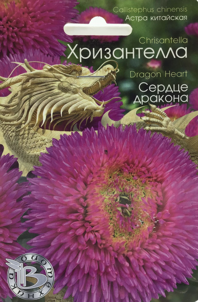Биотехника Астра Хризантелла Сердце дракона - купить по выгодным ценам ...