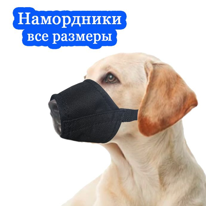 Намордник для собак крупных пород - купить с доставкой по выгодным ...