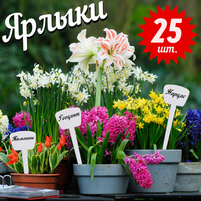 Ярлыки садовые для маркировки, таблички, бирки для цветов и рассады, Т ...