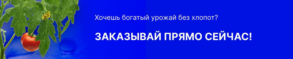 Фильтр средней очистки воды сетчатый ФОВ-250 для капельного полива ...