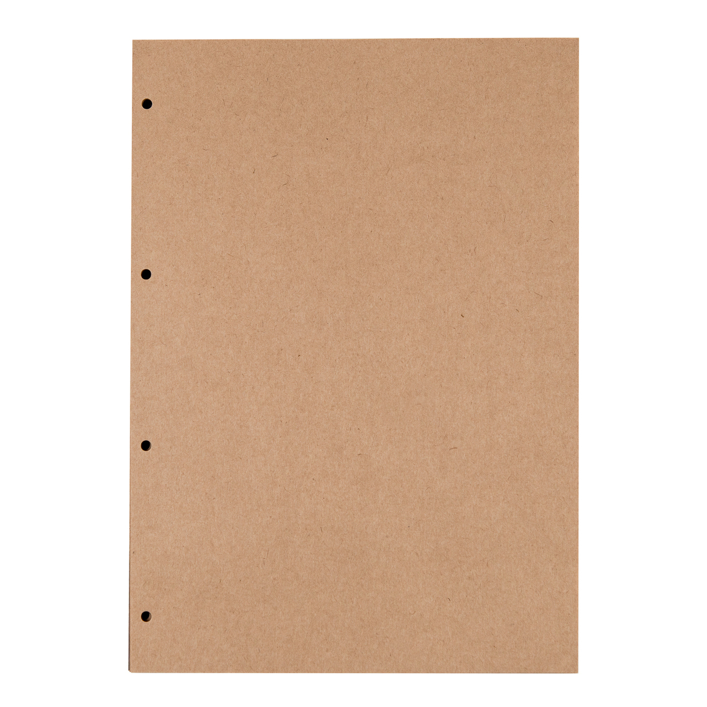 Ptaho Сменный блок для тетради A4 (21 × 29.7 см), листов: 100 купить на ...