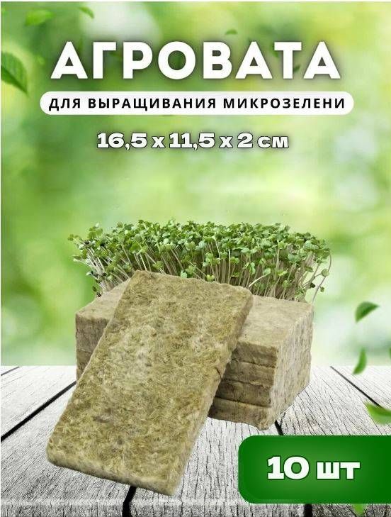 SPELAND Набор для выращивания купить на OZON по низкой цене (1130642271)