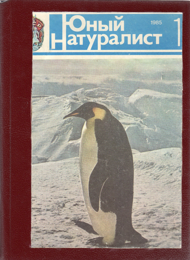 Подшивка журнала "Юный натуралист". 1985 (12 номеров) - купить с доставкой по выгодным ценам в ...