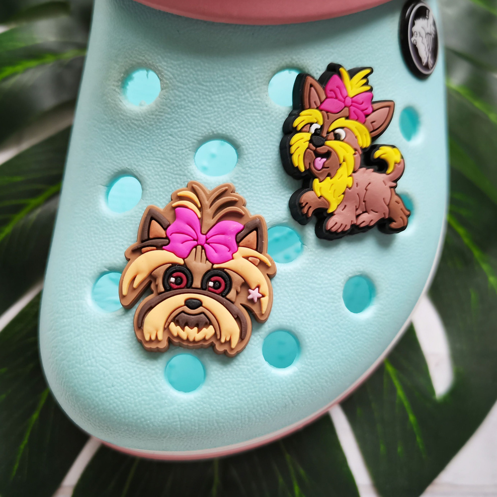 Клипсы для обуви 2 шт - купить с доставкой по выгодным ценам в интернет ...