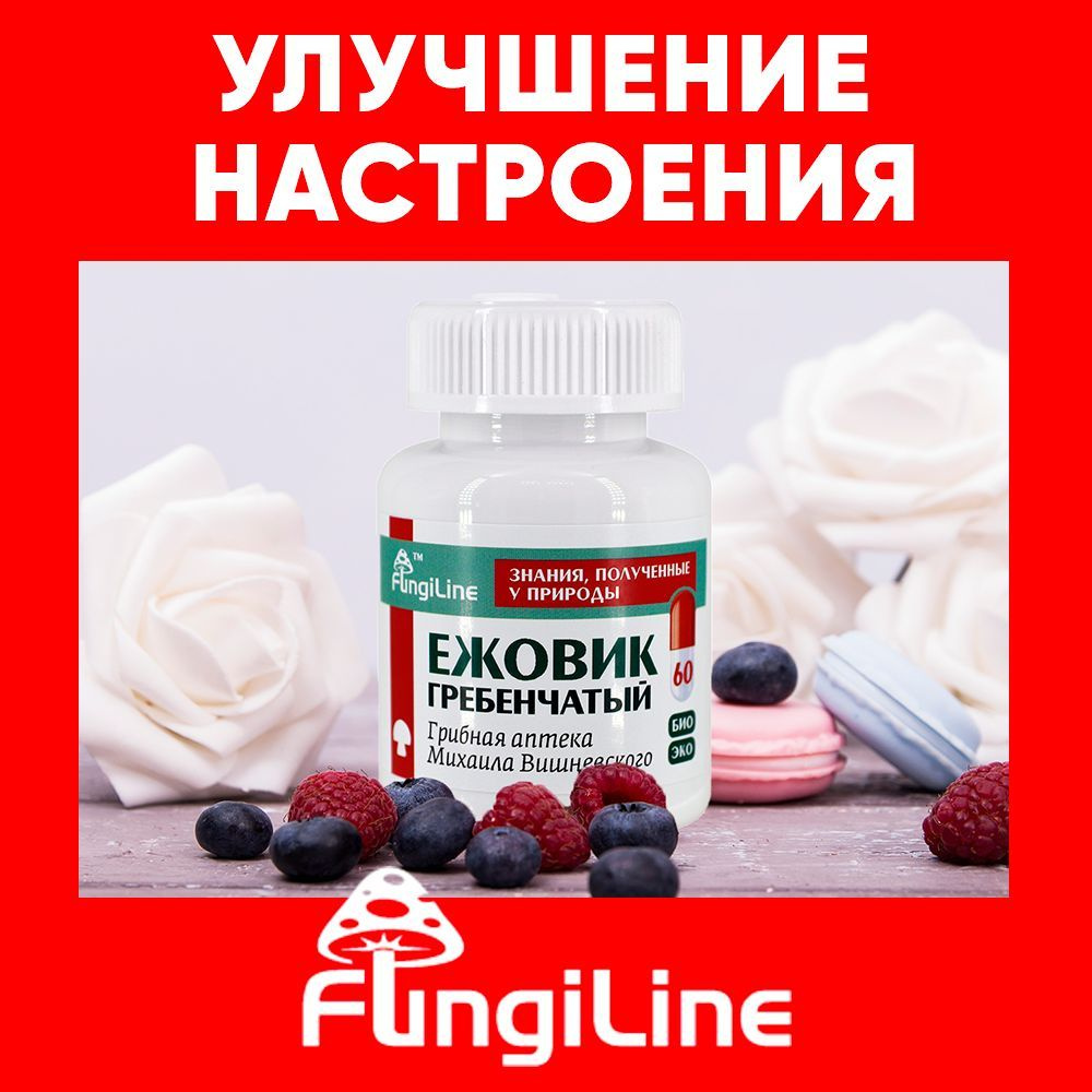 Средство для настроения ЕЖОВИК капсулы 60 штук / средство для улучшения ...