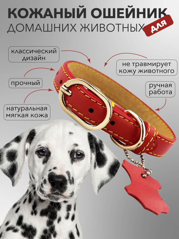 Limpopo shop, строгий кожаный ошейник для собак и кошек мелких пород ...
