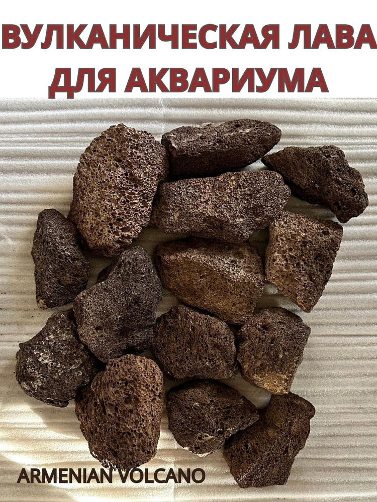 Вулканическая лава для дизайна сада и аквариума - купить с доставкой по ...