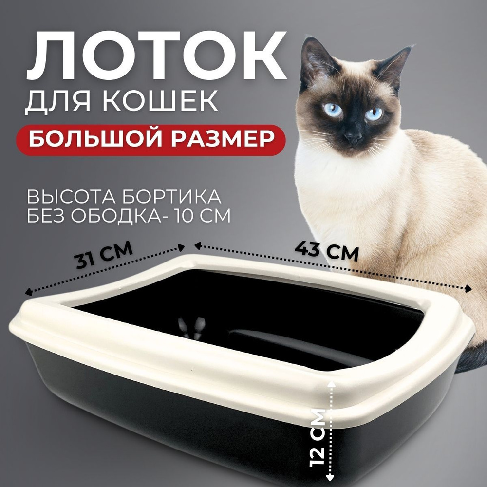 Лоток для кошек с бортом - купить с доставкой по выгодным ценам в ...