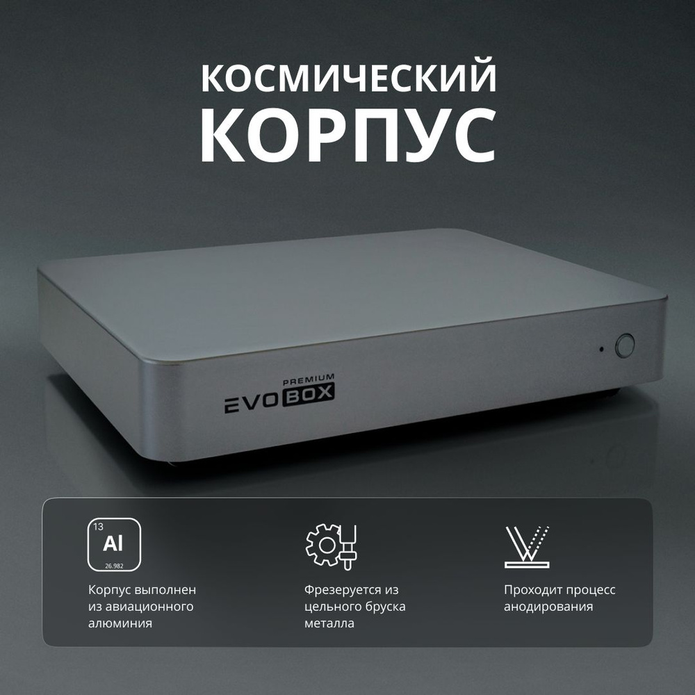 Hi-End караоке-система EVOBOX Premium. Graphite. купить на OZON по низкой цене (317627699)