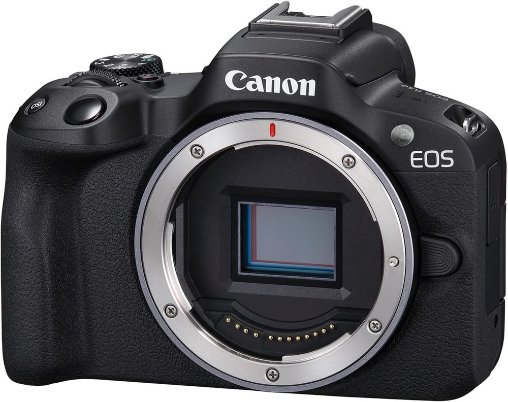 фотоаппарат CANON EOS R50 BODY купить на OZON по низкой цене (2366171997)