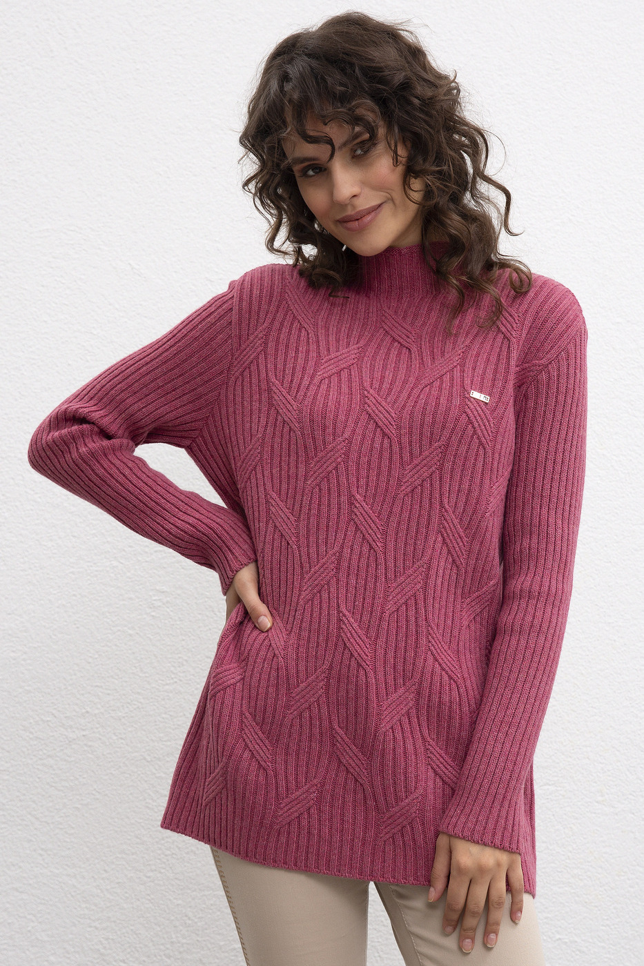 Водолазка U.S. POLO ASSN. купить на OZON по низкой цене (161623137)