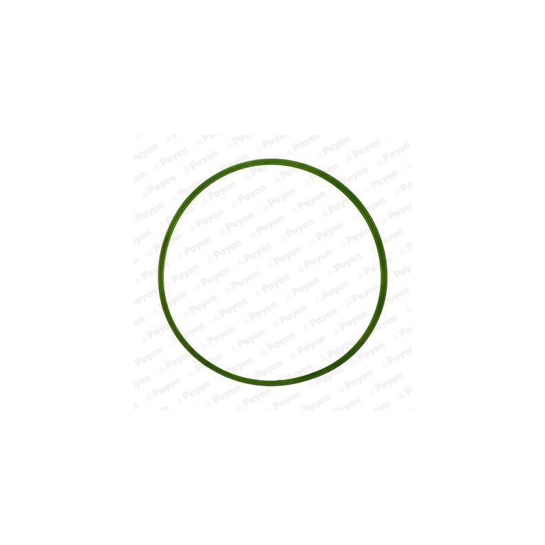 Прокладка коллектора - PAYEN арт. JD5982 - купить по выгодной цене в ...