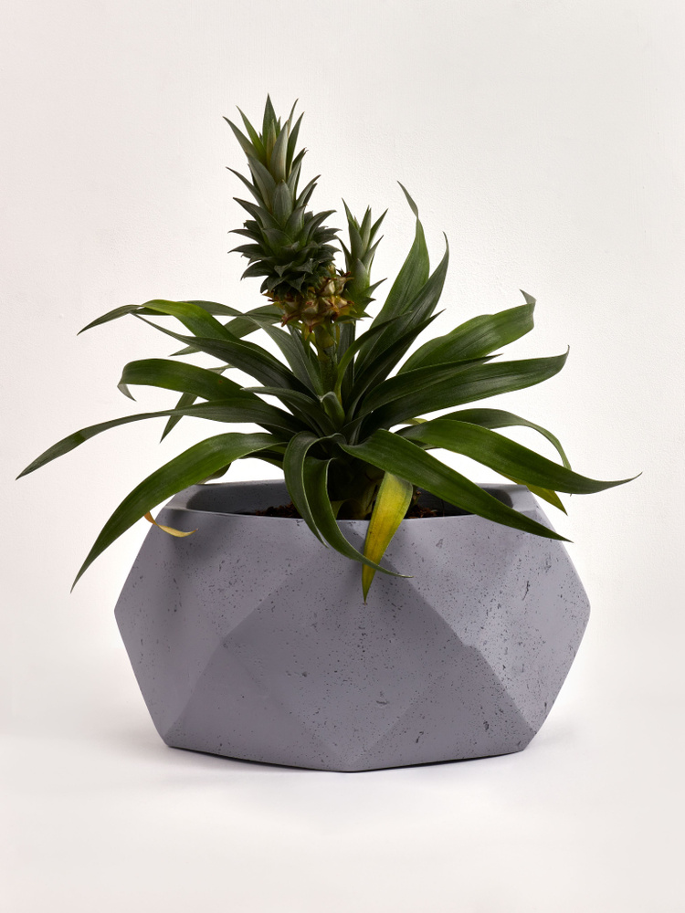 Кашпо Low Rombo S Marble collection 18 см 6 л полимербетон серый ...