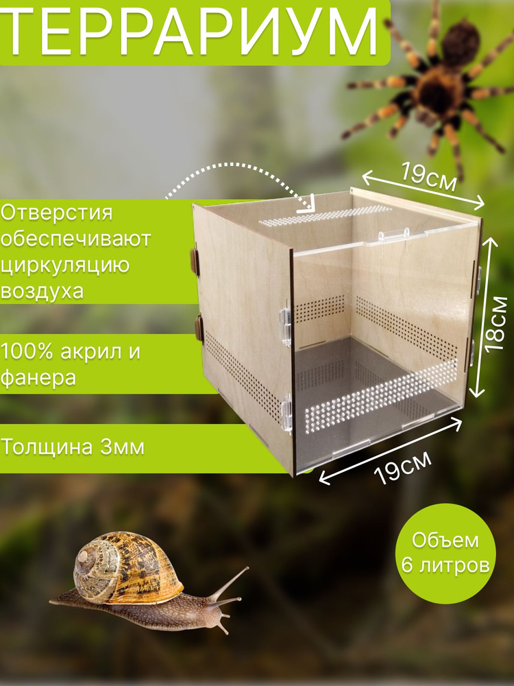 Террариум с крышкой для богомолов, пауков, улиток - купить с доставкой ...
