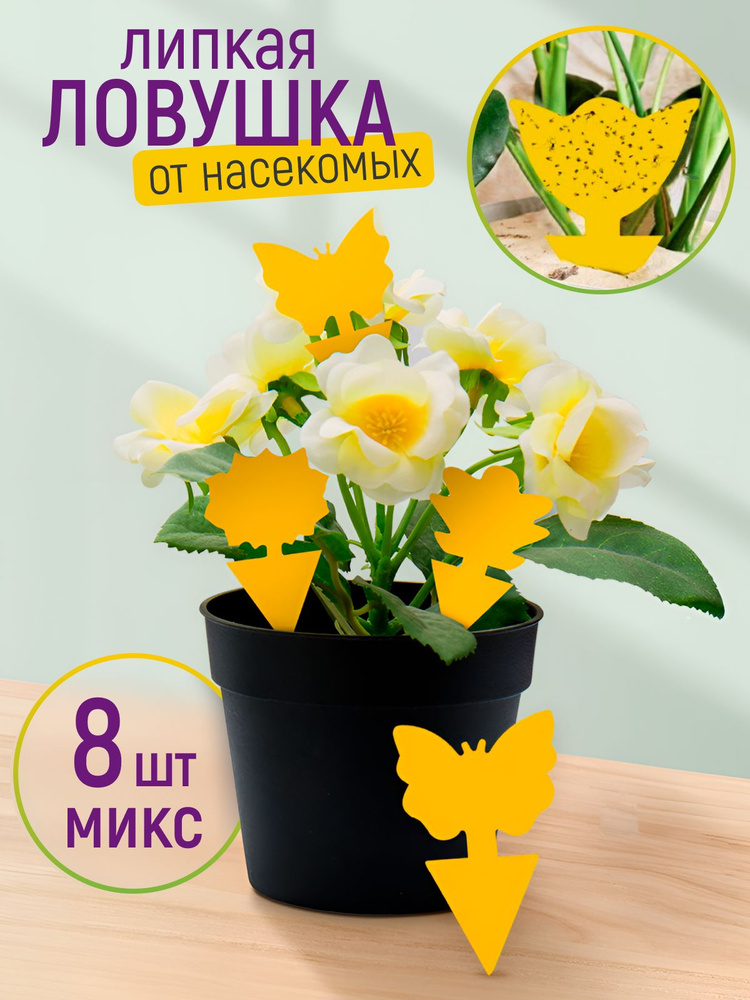 Ловушка для мошек 8 шт. - купить с доставкой по выгодным ценам в ...