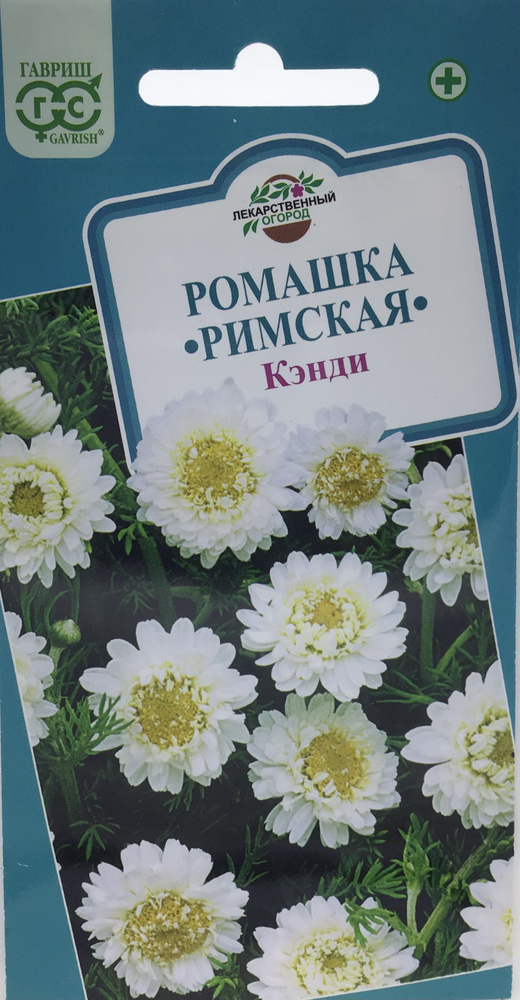 Гавриш Ромашка Римская Кэнди - купить по выгодным ценам в интернет ...