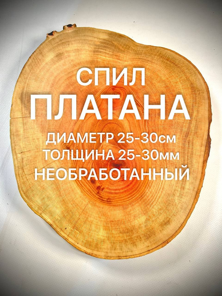 Спил дерева Платан 25-30 см 1шт - купить с доставкой по выгодным ценам ...
