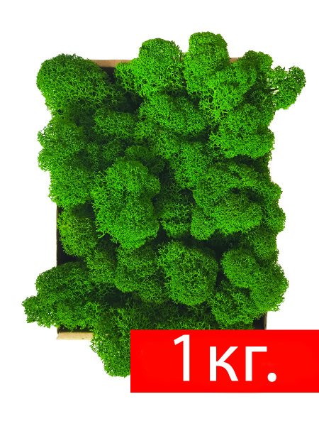 Yagel Стабилизированный мох, 1000 гр, 1 шт купить на OZON по низкой ...