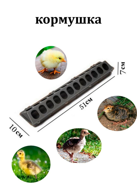 Кормушка для цыплят, индюшат, утят, перепелок, 24 ячейки - купить с ...