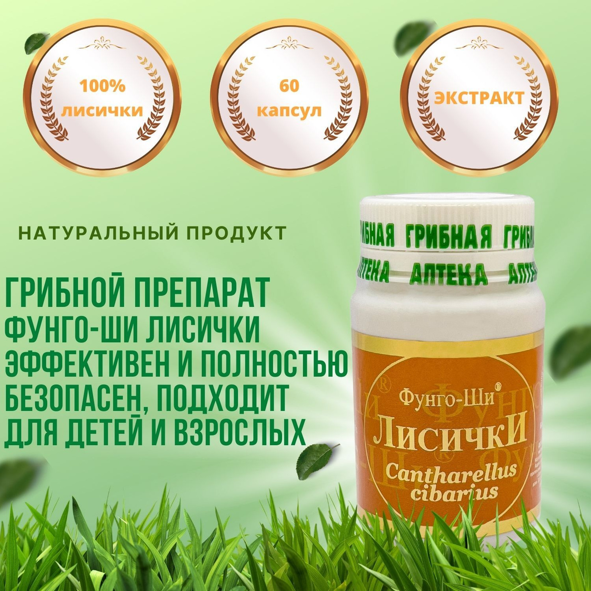 Лисички в капсулах/ Натуральный грибной препарат от паразитов/Грибная ...